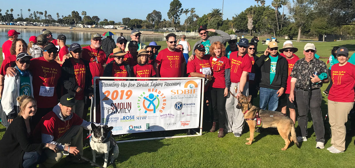 Can Dogs Recover From Brain Damage